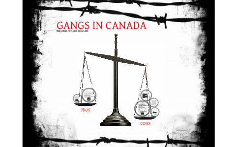 Gangs In Canada by Hailey Jamieson on Prezi