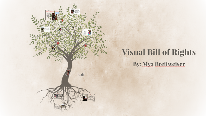 Visual Bill of Rights by Mya Breitweiser on Prezi