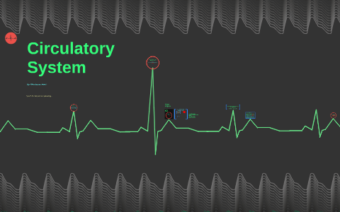 Circulatory System by ʕ•ᴥ•ʔPurple Panda Ninja ʕ•ᴥ•ʔ on Prezi