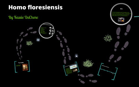 Homo floresiensis by Kassie DuChene on Prezi