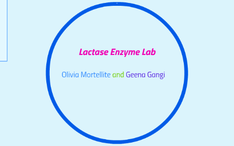 Lactase Enzyme Lab by Olivia Mortellite on Prezi