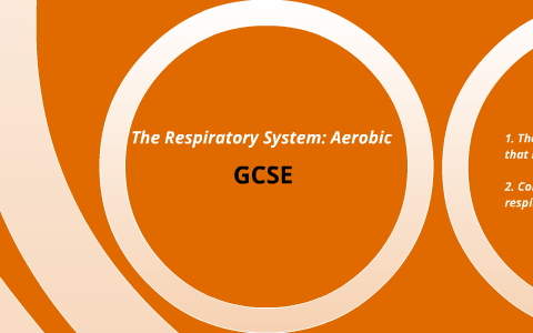 The Respiratory System: Aerobic by kadea garratt on Prezi