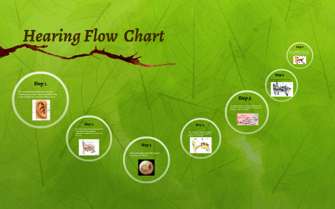 Hearing Flow Chart by Kelly DeLong on Prezi