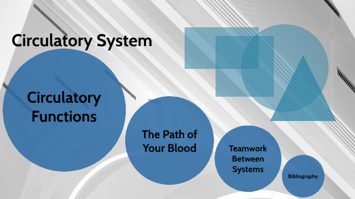 Circulatory system by Nicholas Litz on Prezi