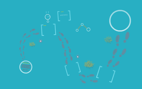 Liquid Fertilizer Lab by Leah Manuel on Prezi