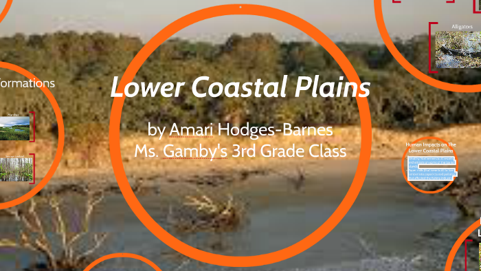 Lower Coastal Plains by Evelyn Hodges on Prezi