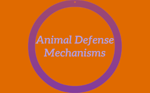 Animal Defense Mechanisms by Nidhi Kamath on Prezi