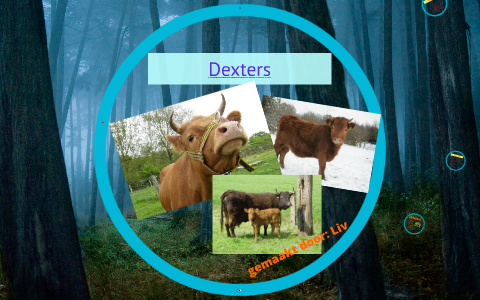 Deksters by on Prezi