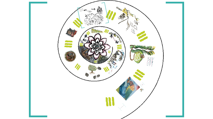Mapas parlantes: Recorriendo el Municipio de Toribío desde l by maria ...