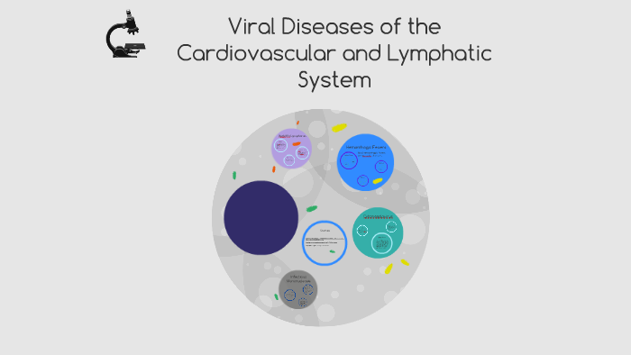 Viral Diseases of the Cardiovascular and lymphatic system by Caitlin ...