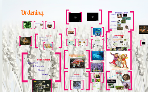 ordening by Barbara de Weerd