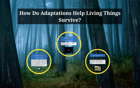 How Do Adaptations Help Living Things Survive? by Stephanie Truitt