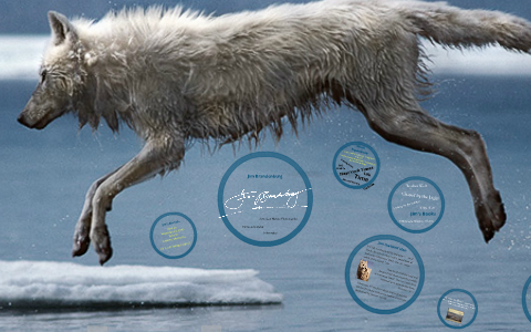Famous Photographer by Sarah Winch on Prezi