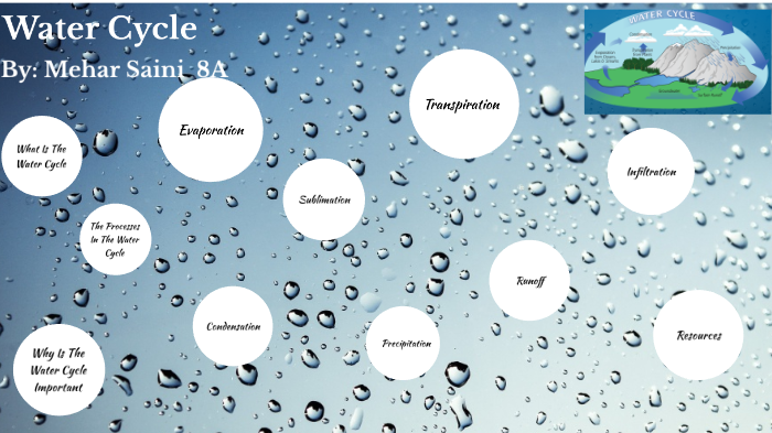 Water Cycle Grade 8 by Mehar Saini on Prezi