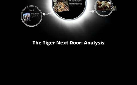 Tiger Organ Flow Chart by Liliana Jackson