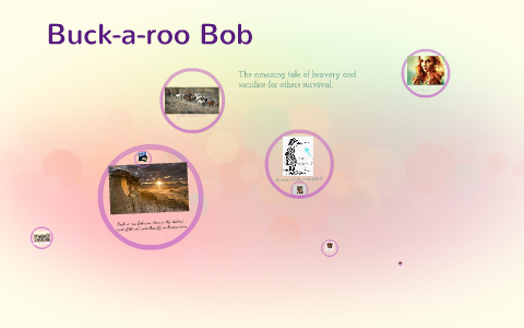 Buck-a-roo Bob was born in the hottiest part of the old west by ...