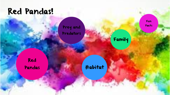 Red Pandas by Meenu Anoop on Prezi