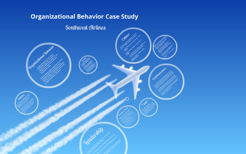 Organizational Behavior Case Study by Michael Carney on Prezi