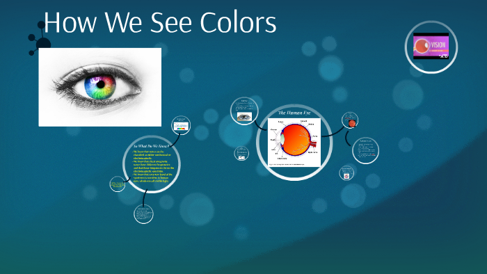 How We See Colors by Chris Bierman