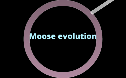 Moose Evolution by brian franklin on Prezi