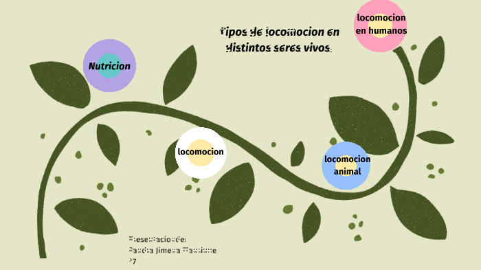 tipos de locomoción de distintos seres vivos. by Sandra Jimena Manrique ...