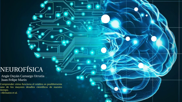 Neurofísica by Angie Camargo
