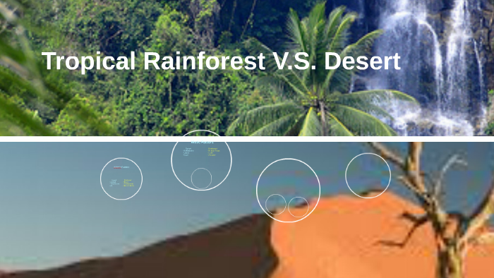 Tropical Rainforest V.S. Desert by Ayla Cheyenne on Prezi