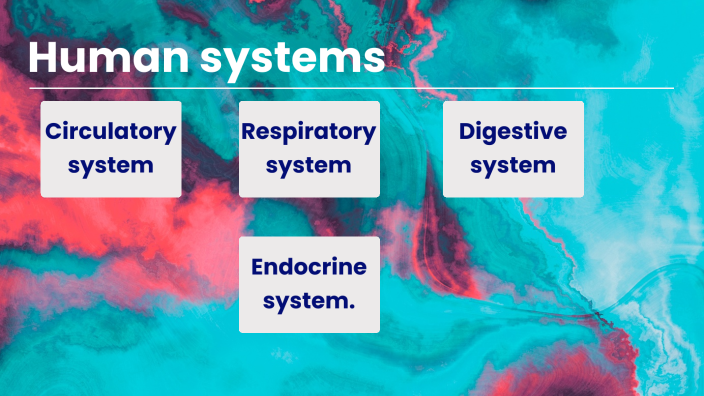 Human systems by Tate Tartaglia on Prezi