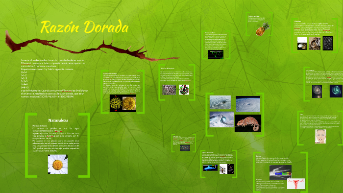 Razón dorada by sandra torres