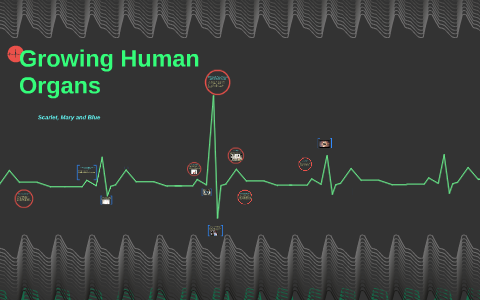 Growing Human Organs by Scarlet Foster on Prezi