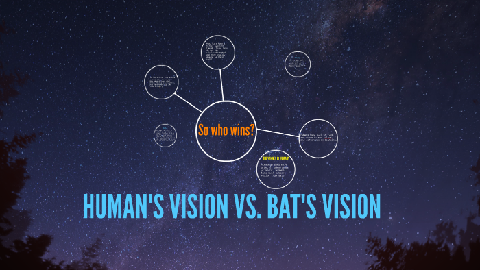 Human Eyes Vs. Bat Eyes by Danny Kang on Prezi