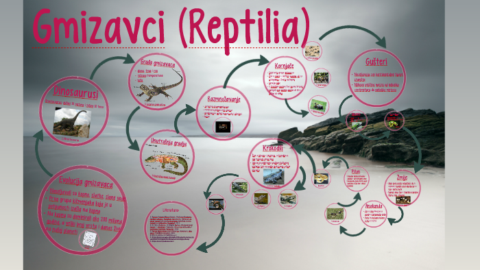 Gmizavci (Reptilia) by Ana Perić on Prezi