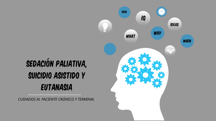 Diferencias Entre Sedación Paliativa Suicidio Asistido Y Eutanasia By