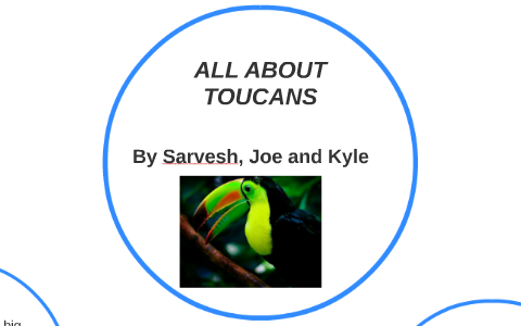 ALL ABOUT TOUCANS by Lisa Van Ormer on Prezi