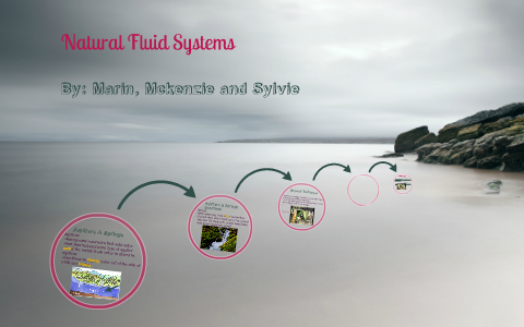 Natural Fluid Systems by Sylvie Ellis on Prezi