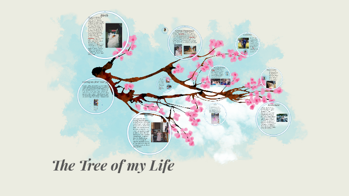 Lifeline Project by Sarah Sultan on Prezi