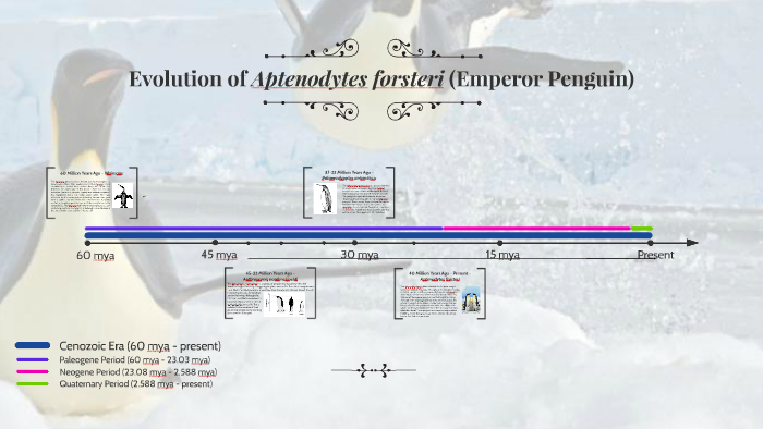 Evolution of Aptenodytes forsteri (Emperor Penguin) by Anders Wolle on ...