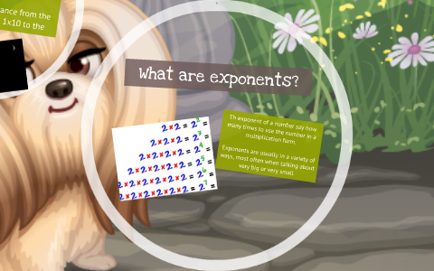 Exponents in real life! by saba oomer on Prezi