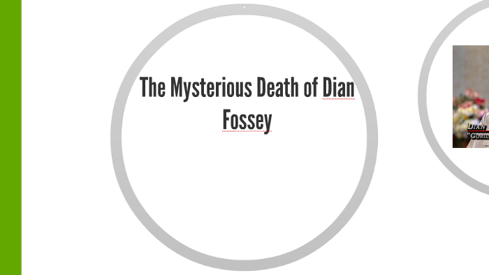 The Mysterious Death of Dian Fossey by Emily Atchley
