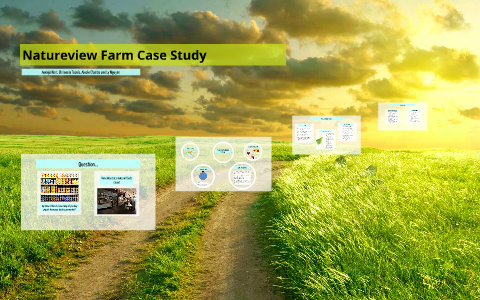 Natureview Farm Case Study by Alodie Efamba on Prezi