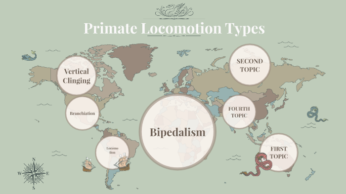 Primate Locomotion by Jesus Hernandez on Prezi