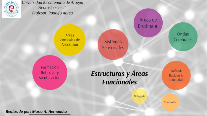 Estructuras y Áreas de Funcionamiento by Maria Hernandez on Prezi