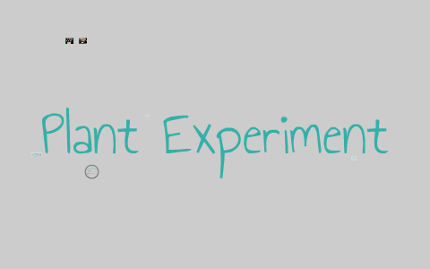 Plant Experiment by Ellie Stamper on Prezi