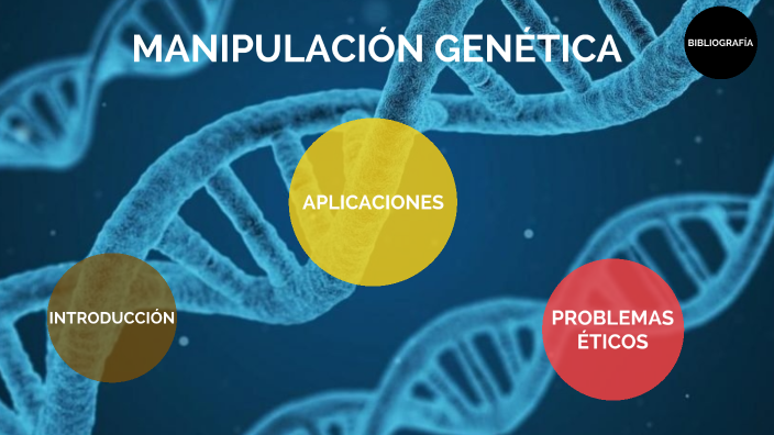 Manipulación genética by Alberto Sánchez on Prezi
