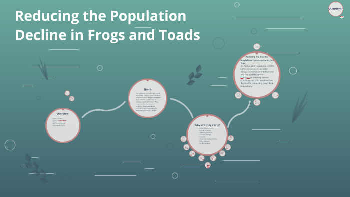 Reducing the Population Decline in Frogs by Connor Morgan