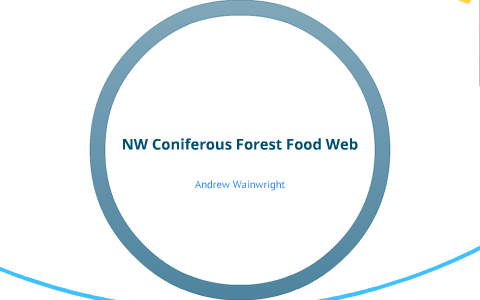 NW Coniferous Forest Food Chain by Andrew Wainwright on Prezi