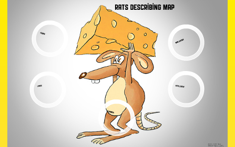 Three Skeleton Key Rats Describing Map by Vidale Onn on Prezi