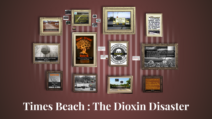 Times Beach : The Dioxin Disaster by Siti Sabariah Din