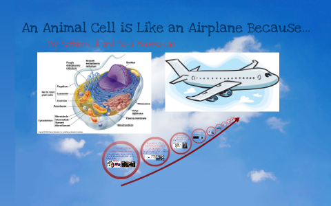 Animal Cell Metaphor by Saba M. on Prezi