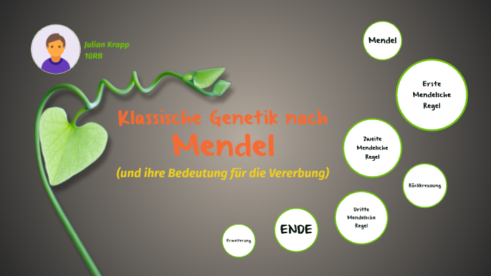 Klassische Genetik Nach Mendel By Julian Kropp On Prezi 